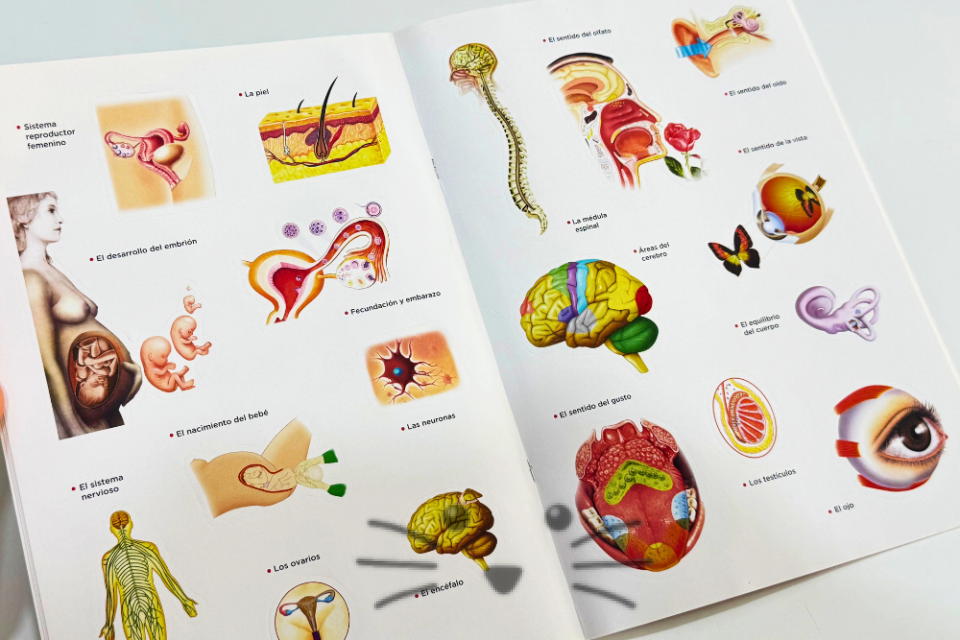 Aprendo Con Stickers: Cuerpo Humano - Nicasio el Ratón